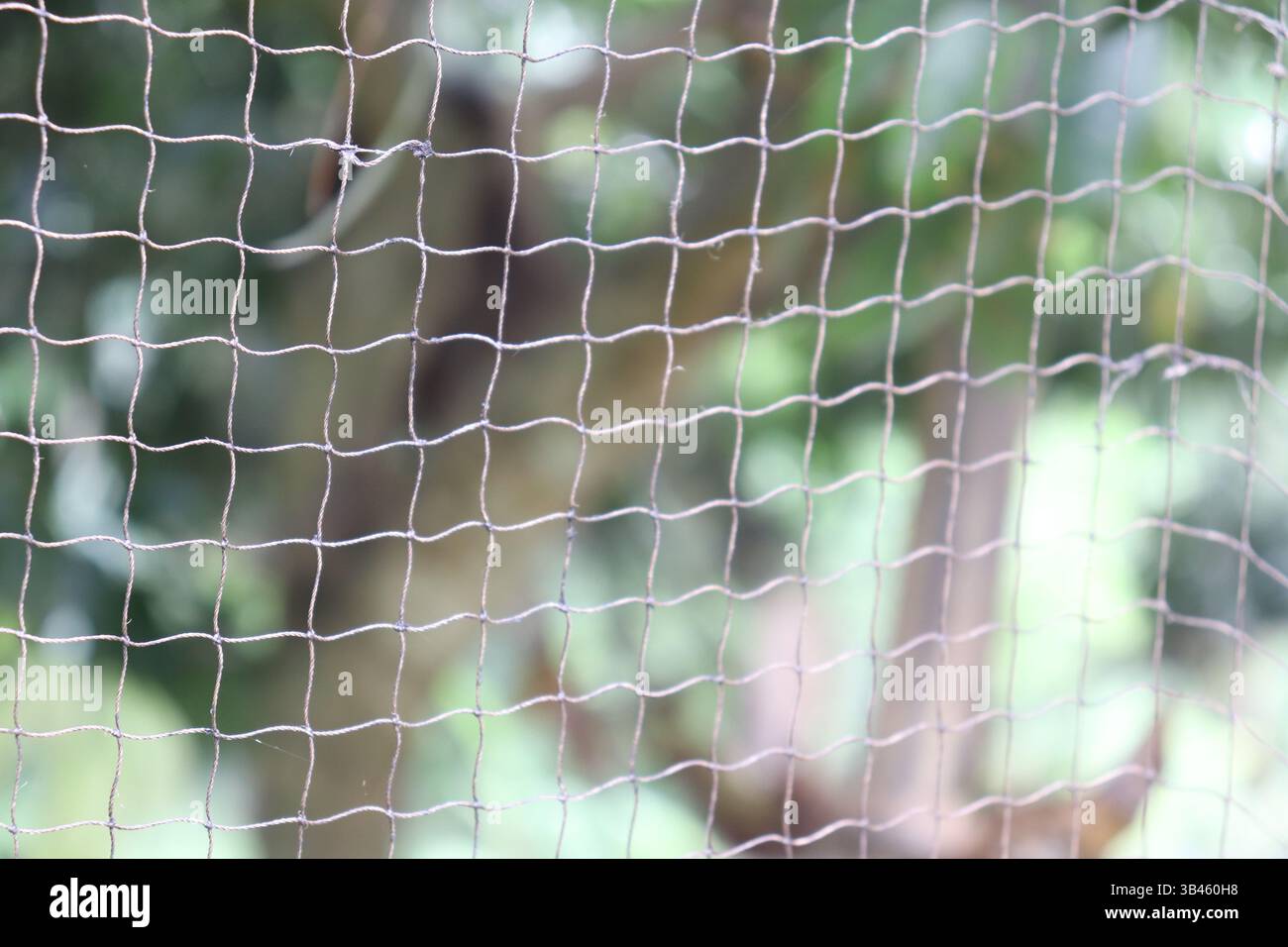 Close-up shot focusing on wire netting with visible grid patterns over ...