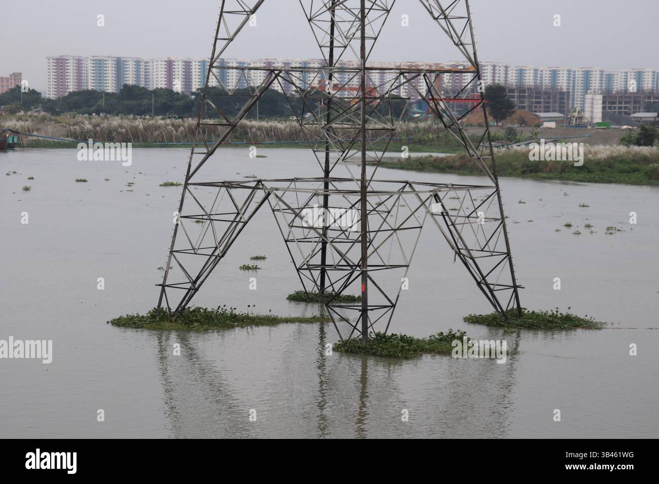 Steel transmission tower base stands in river amid aquatic plants ...