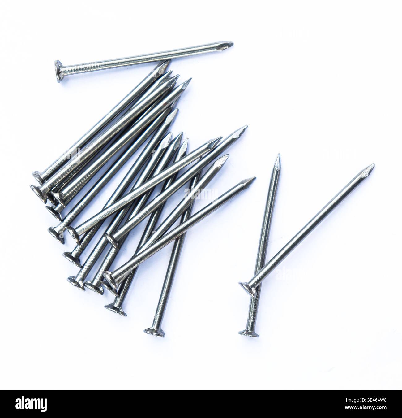 Image shows shiny, steel-made nails arranged together on a solid white backdrop, set up as a ...
