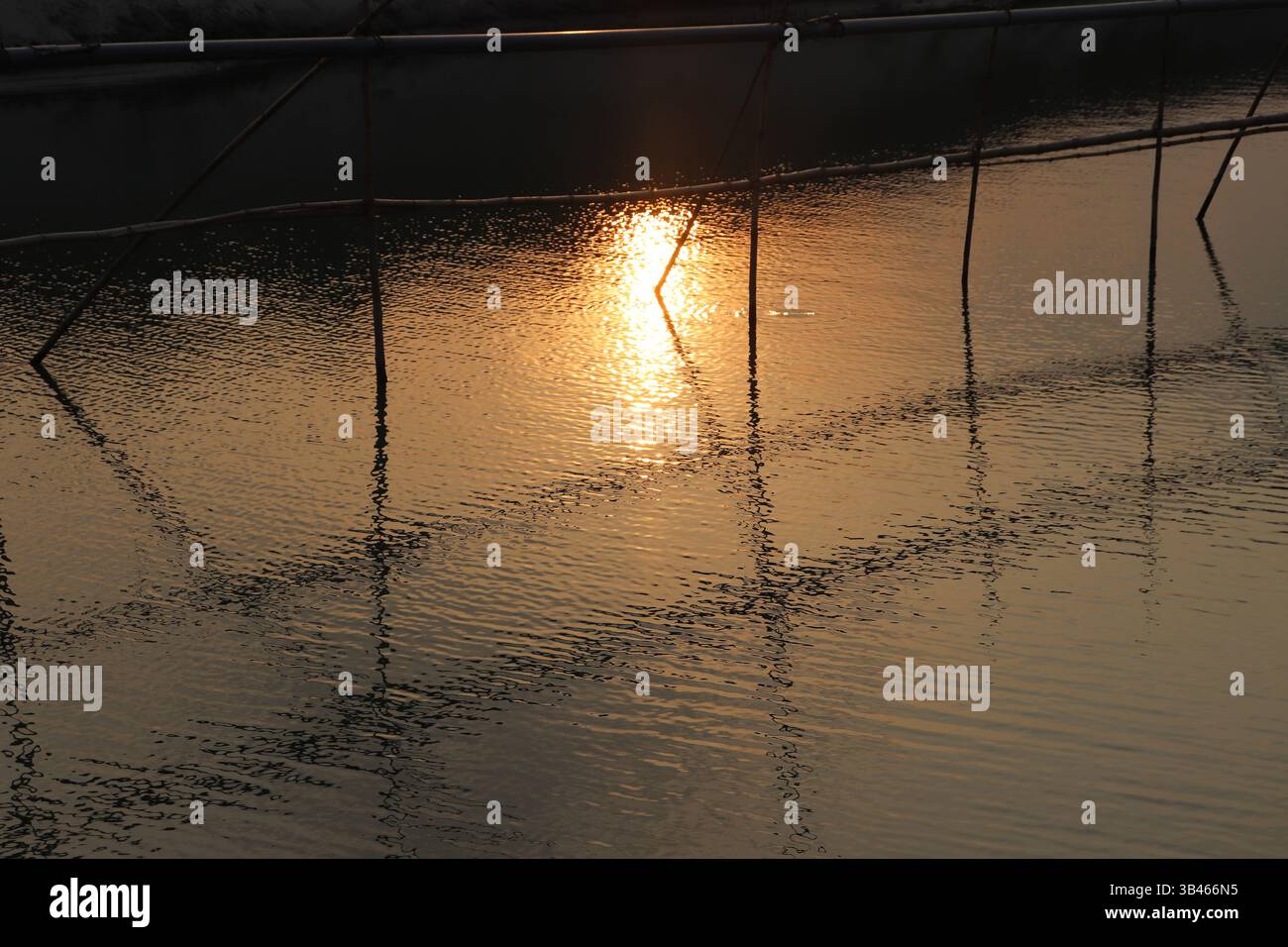 Warm-toned lake reflects sunset light. Wooden poles stand in rippling ...
