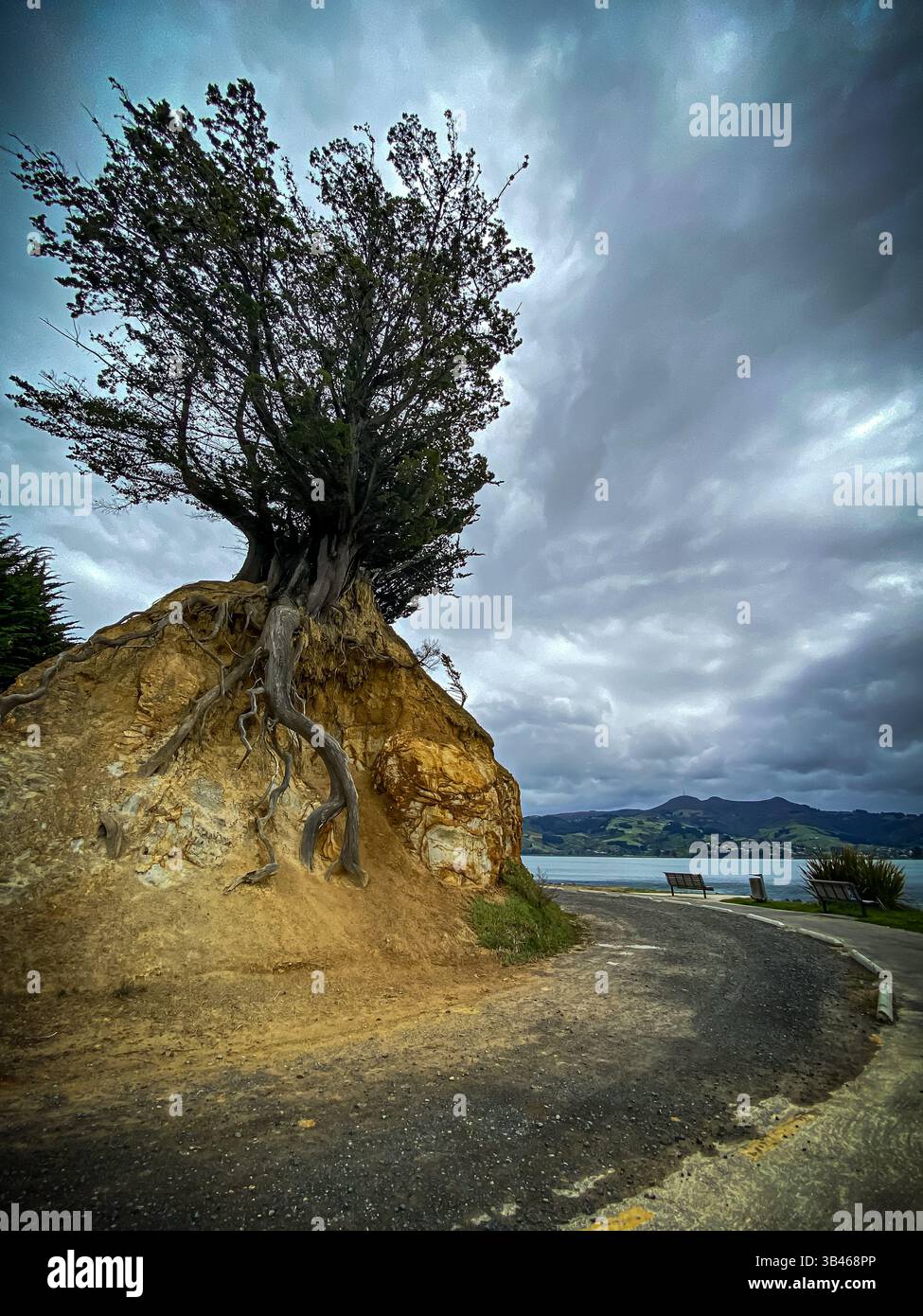 University otago dunedin hi-res stock photography and images - Alamy
