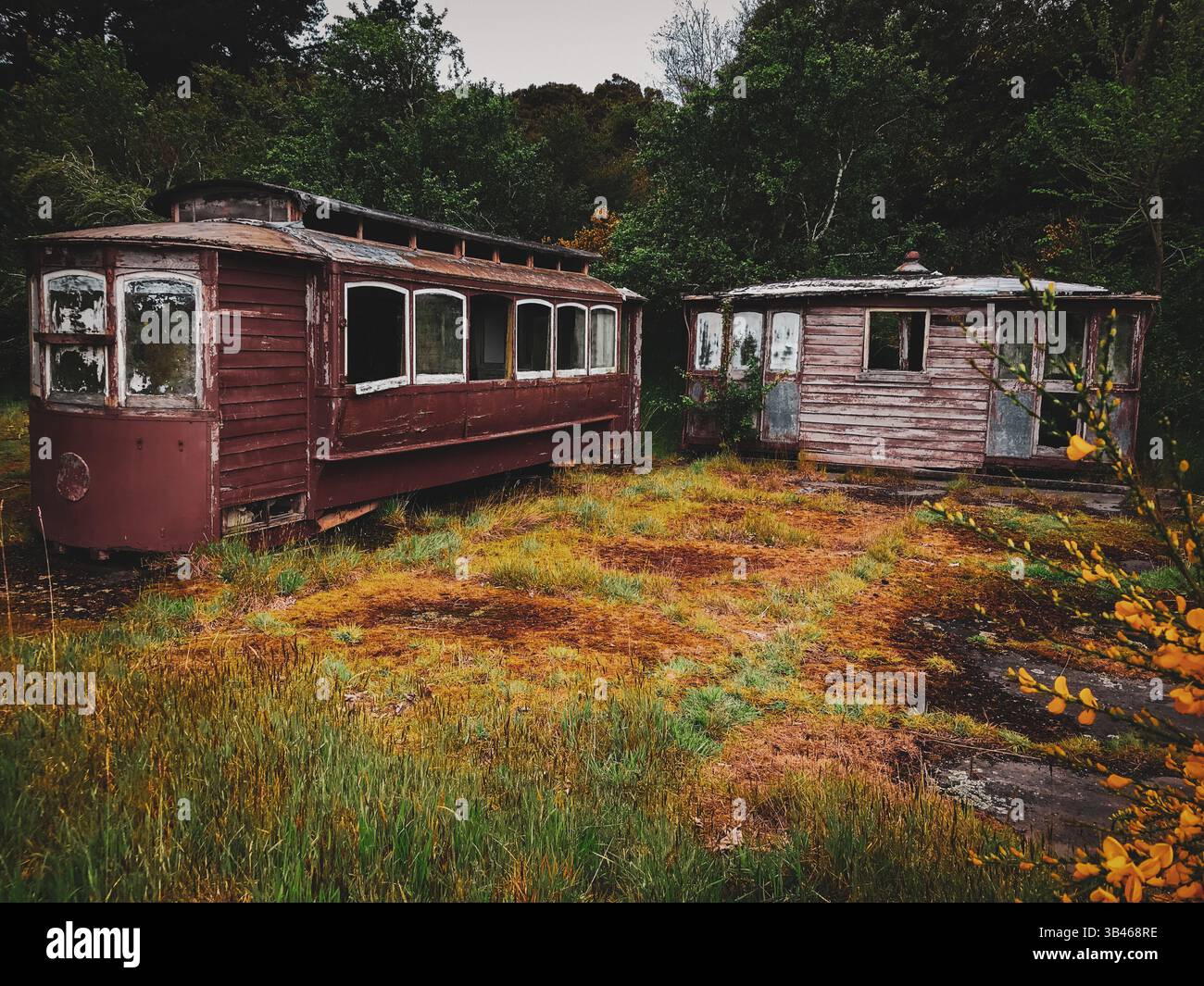 University otago dunedin hi-res stock photography and images - Alamy