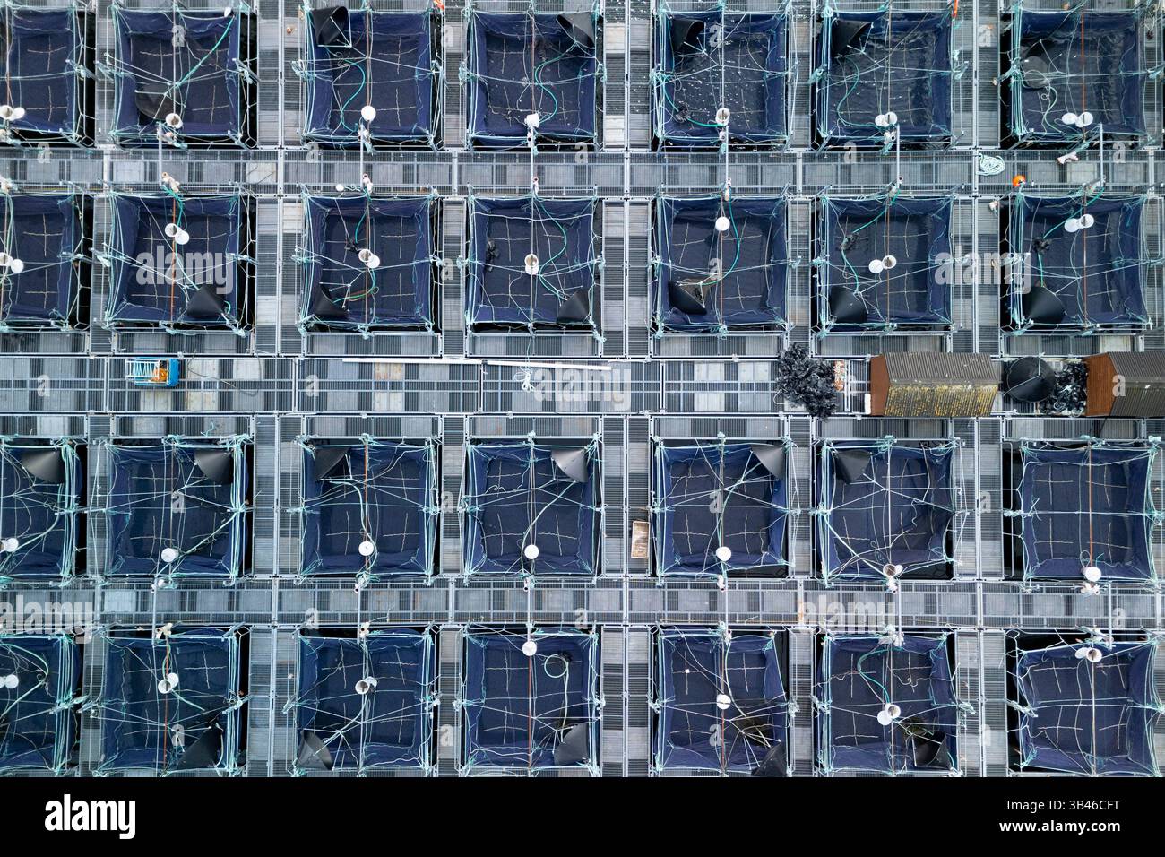 Mowi fish farm hi-res stock photography and images - Alamy