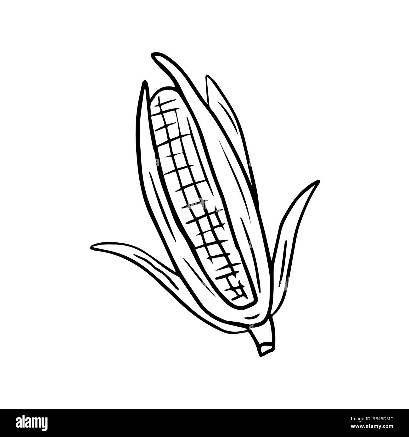 Dried corncob Stock Vector Images - Alamy