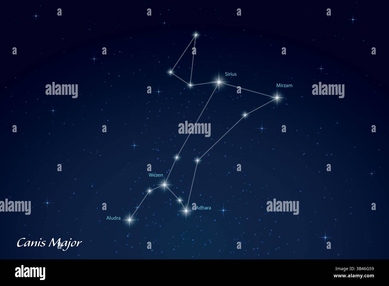 Canis major star hi-res stock photography and images - Alamy