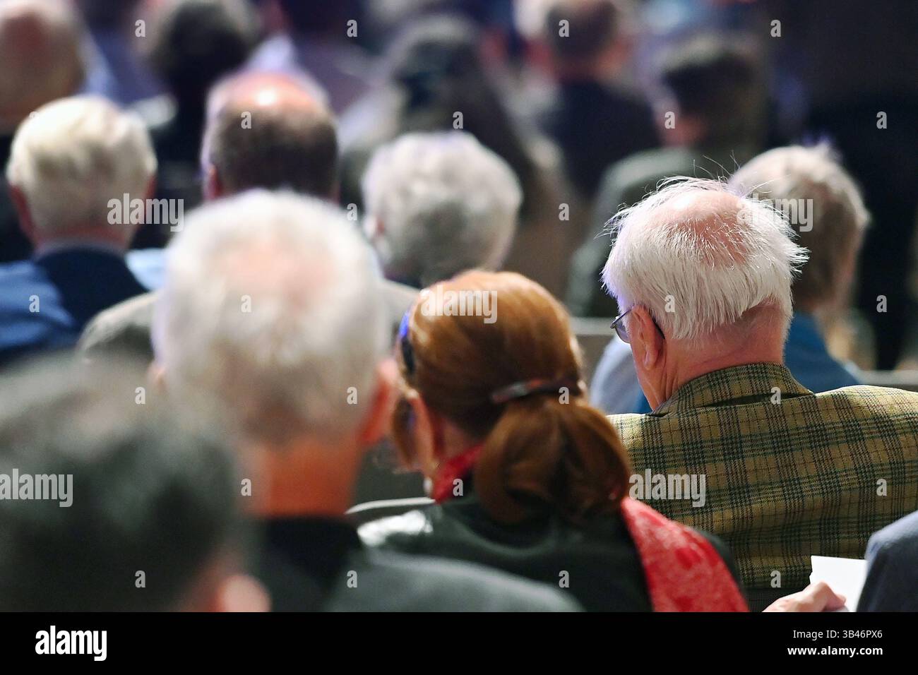 Themenfoto:Rentner,Hinterkoepfe alter Menschen.Graue Haare. *** theme ...