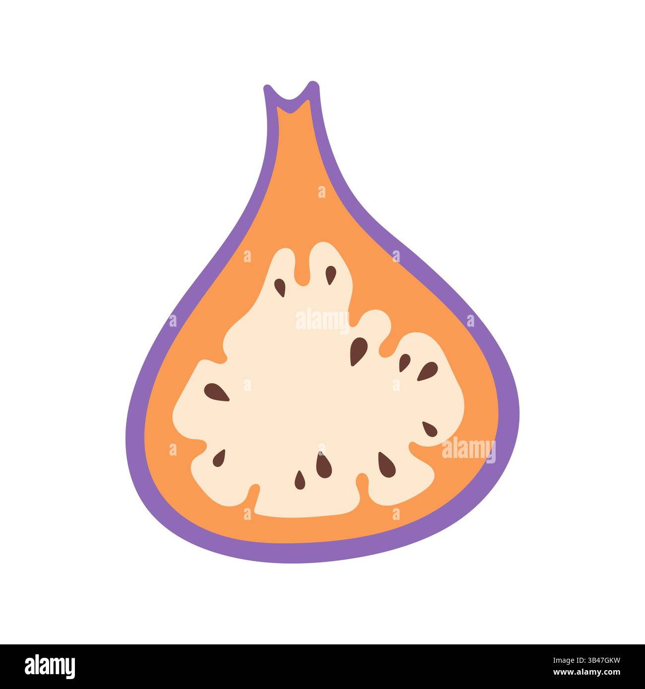 Cut Fig Fruit illustration. Fig icon. Organic vitamins and healthy ...