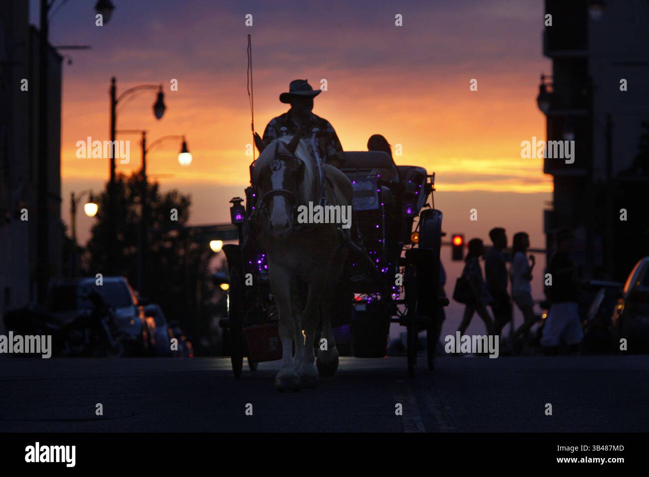 Aug. 14, 2015 - Memphis, Tennessee, USA - A carriage ride down Beale ...