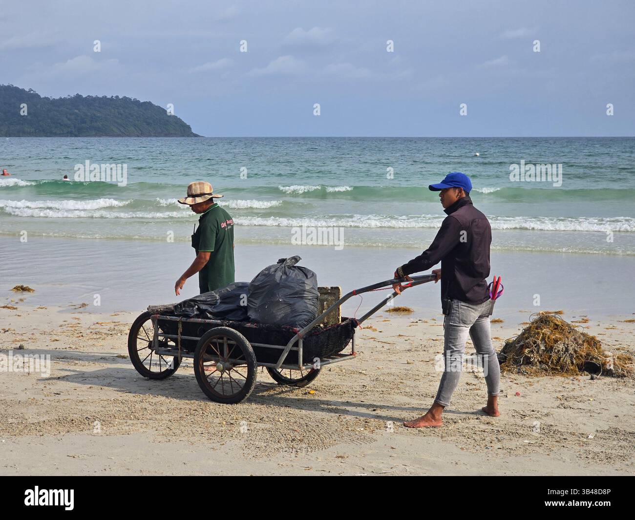 Koh Kood, Thailand, 13 March 2025, workers are diligently collecting ...