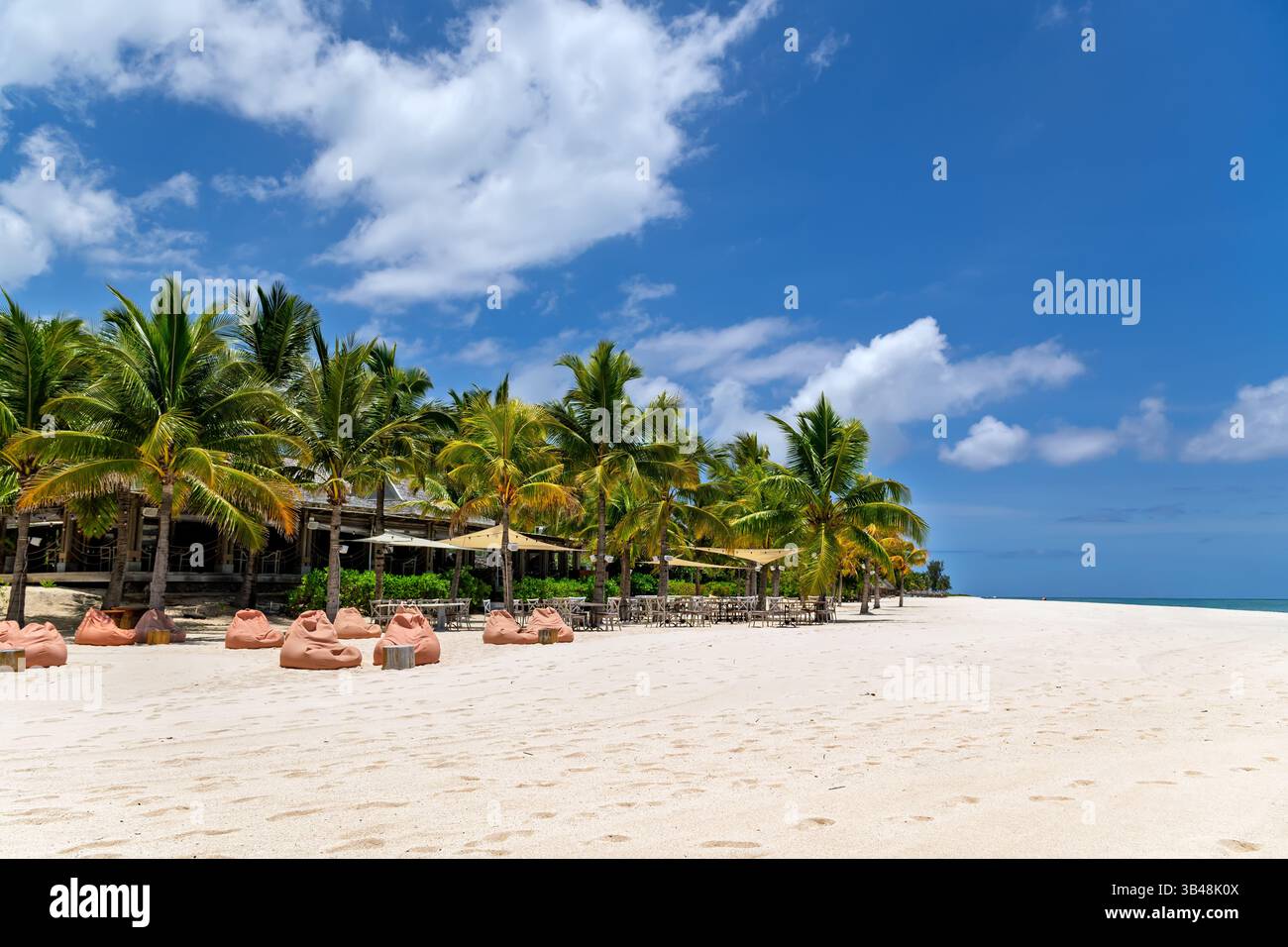 Tropical Beach Restaurant Paradise: Palm Trees, Beanbags, and Tables on ...