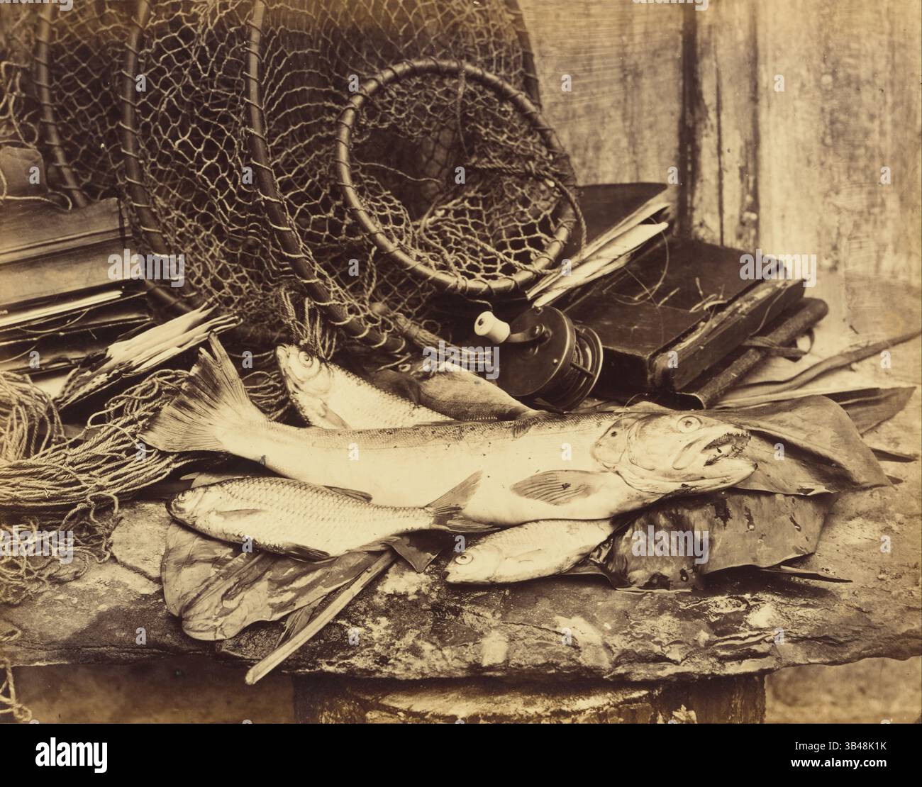Henry Bailey (English, active late 1860s) - Trout Roach etc Stock Photo ...