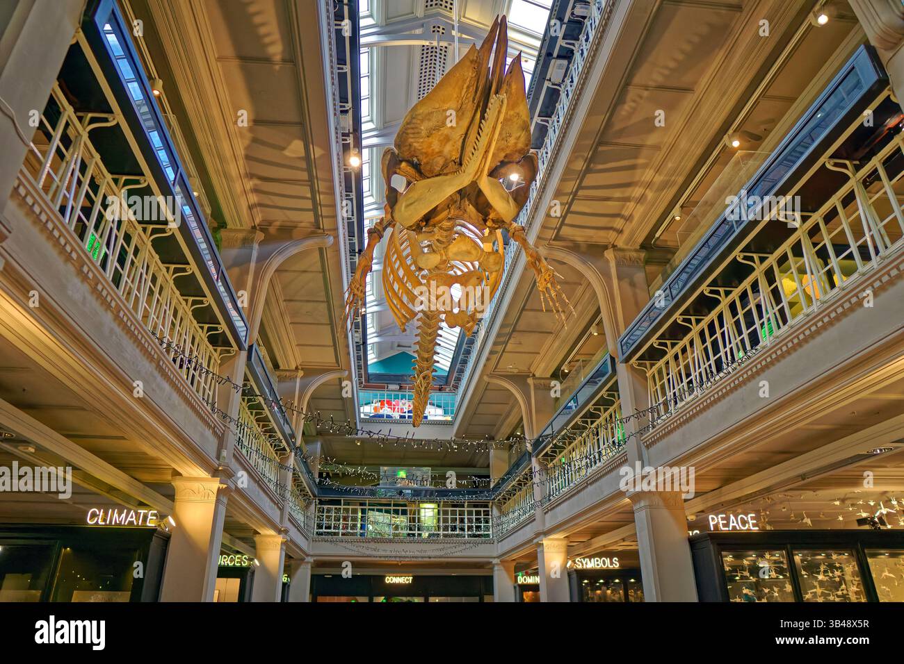 Manchester museum living worlds hi-res stock photography and images - Alamy