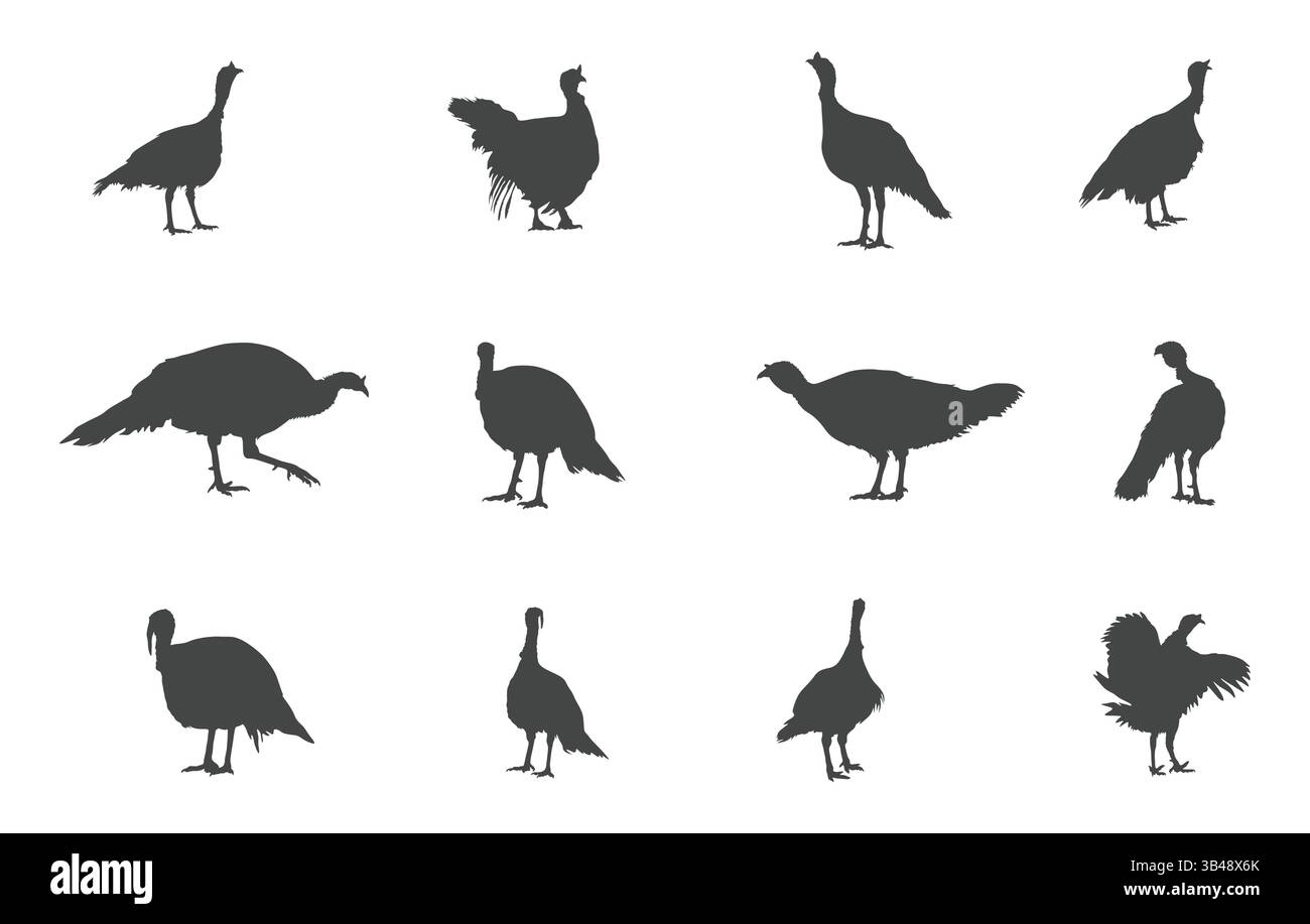 Turkey svg, Turkey silhouettes, Turkey animal svg, Turkey animal ...