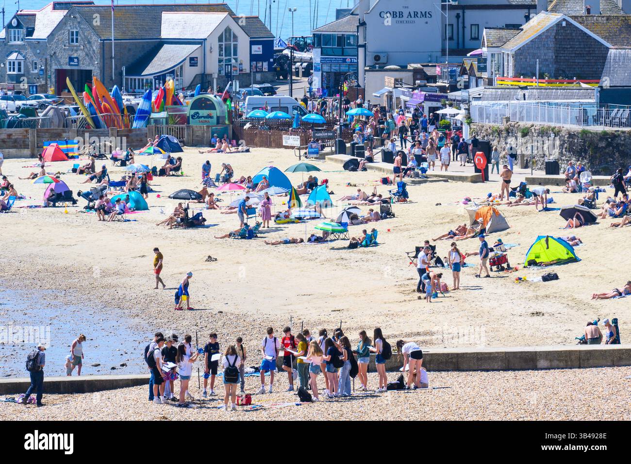 Lyme Regis, Dorset, UK. 30th April 2025. UK Weather: Sunseekers and ...