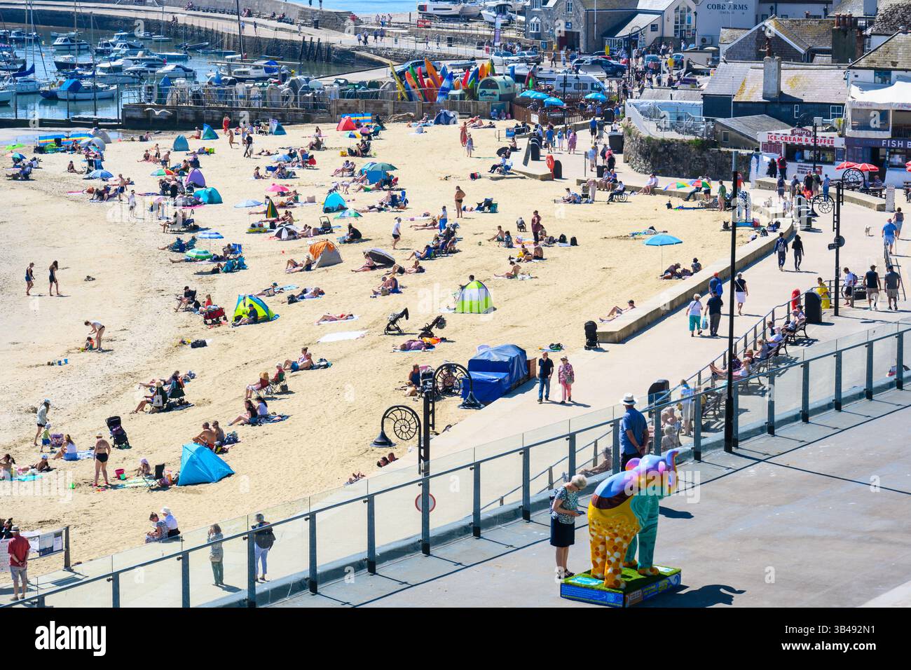 Lyme Regis, Dorset, UK. 30th Apr, 2025. UK Weather: Sunseekers and ...