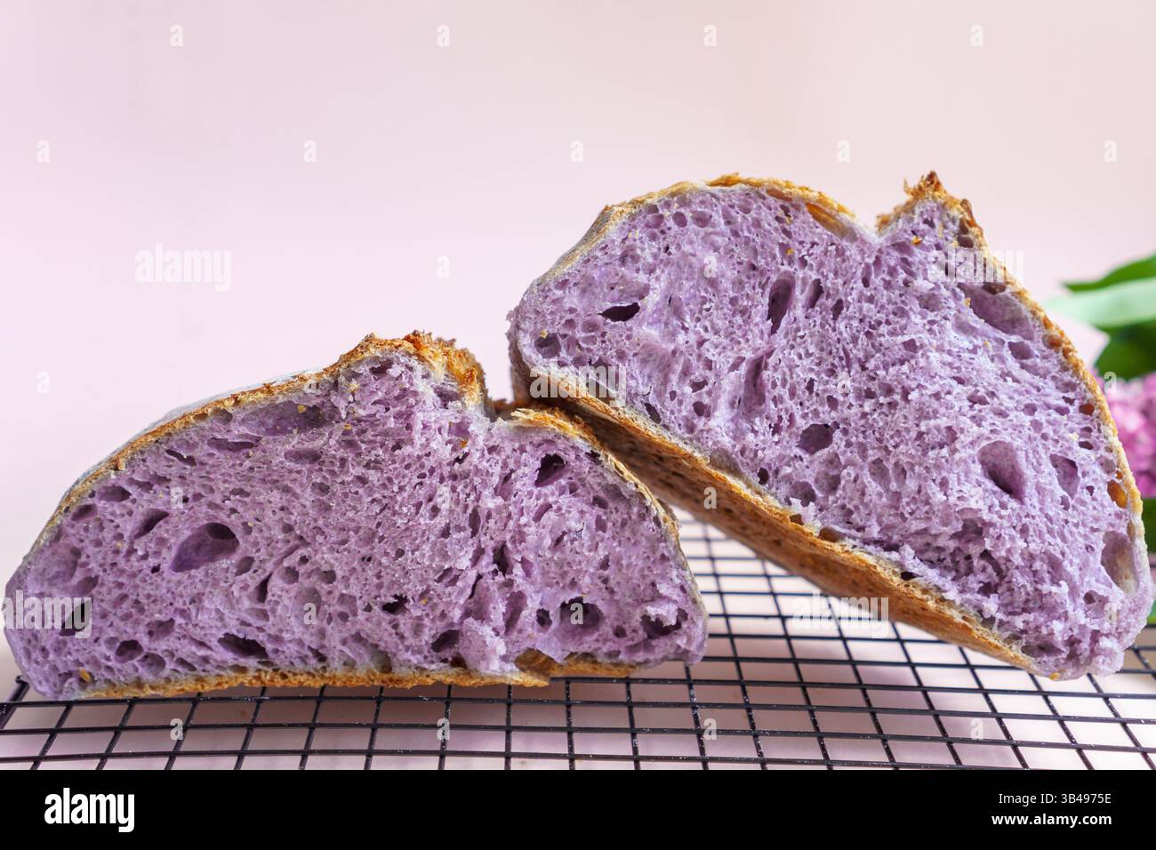 Homemade Artisan Purple Bread Sourdough Made from Purple Sweet Potato ...