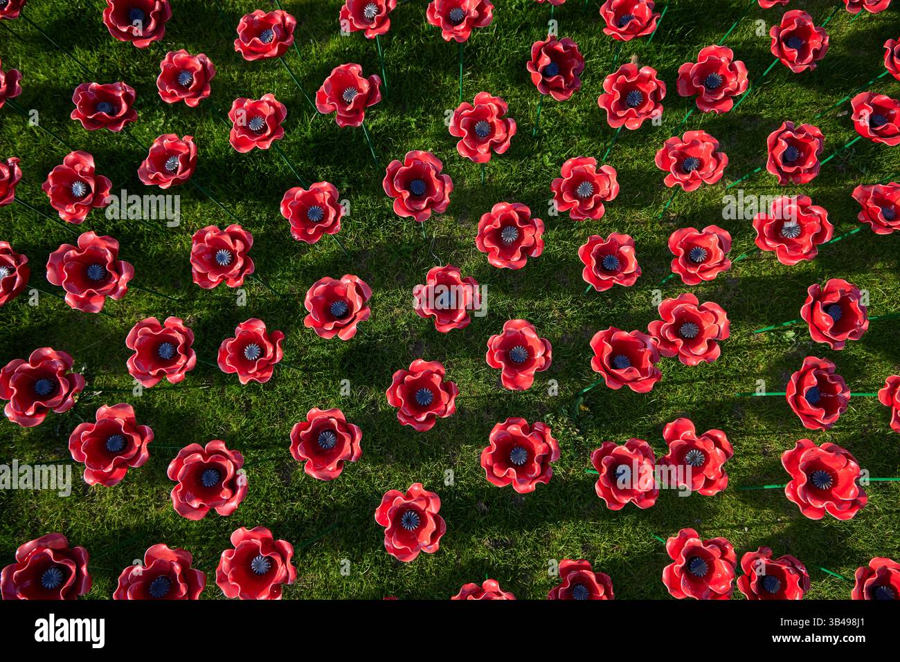 International Bomber Command Centre Poppy Display. VE80 poppy ...