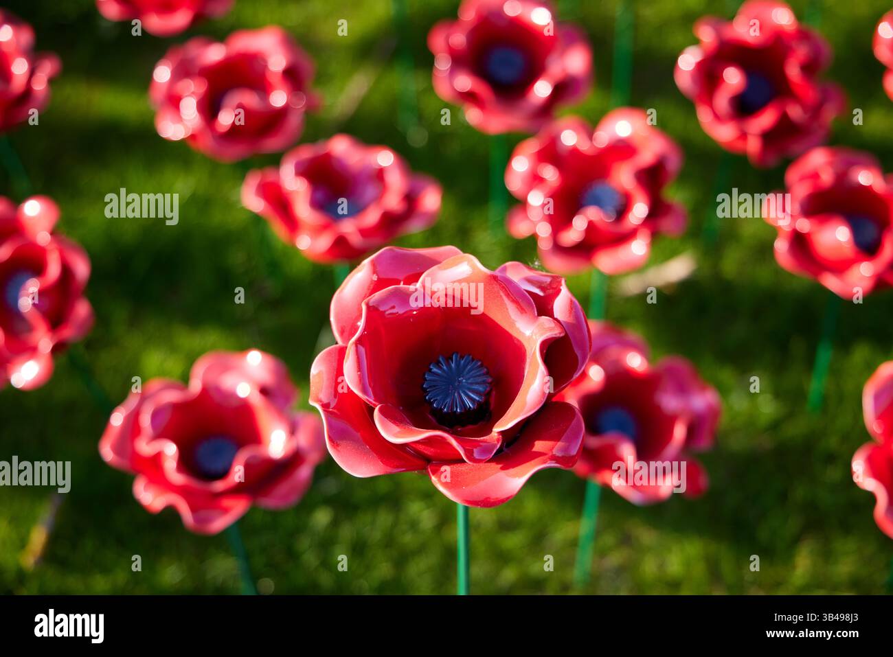 International Bomber Command Centre Poppy Display. VE80 poppy ...