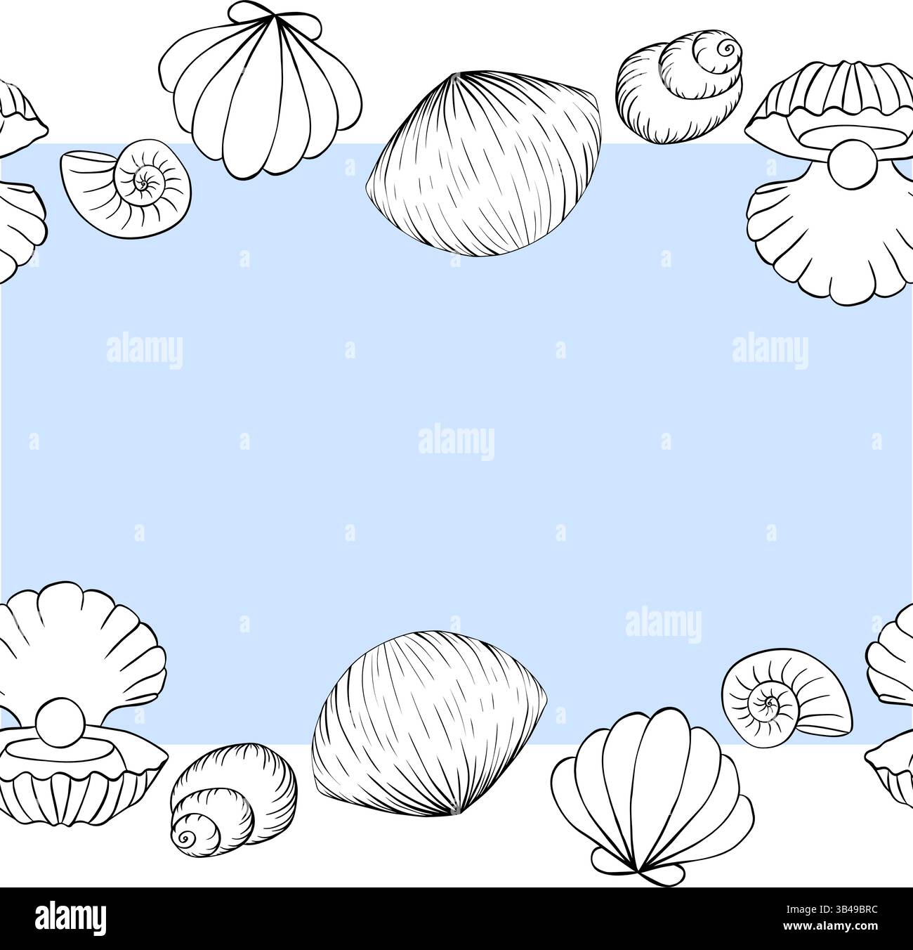 Seashell frame seamless horizontal border template for text. Vector ...