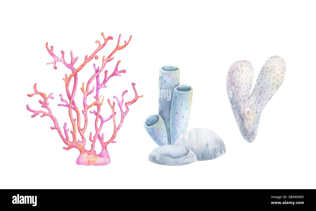 Watercolor illustration of coral reef elements: pink coral, blue tube ...