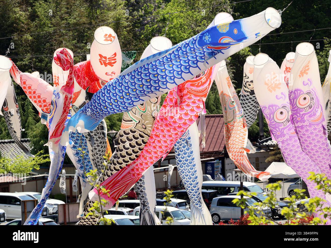 Yokoze, Japan. 30th Apr, 2025. Some 200 carp streamers fly over the ...