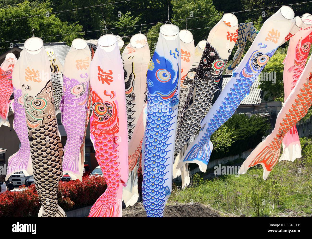 Yokoze, Japan. 30th Apr, 2025. Some 200 carp streamers fly over the ...