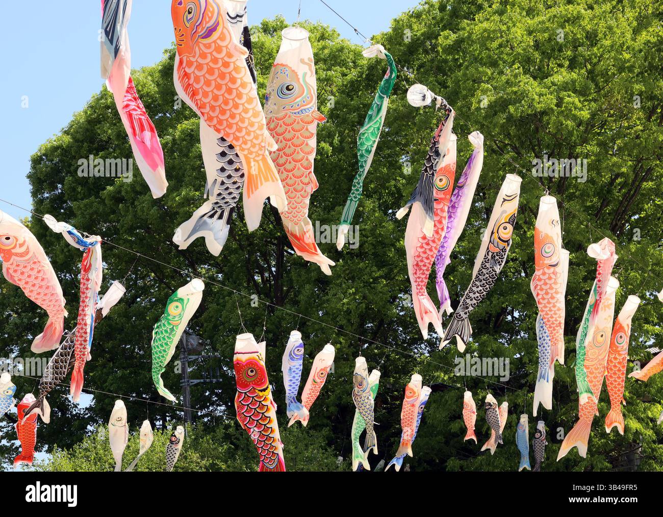 Yokoze, Japan. 30th Apr, 2025. Some 200 carp streamers fly over the ...