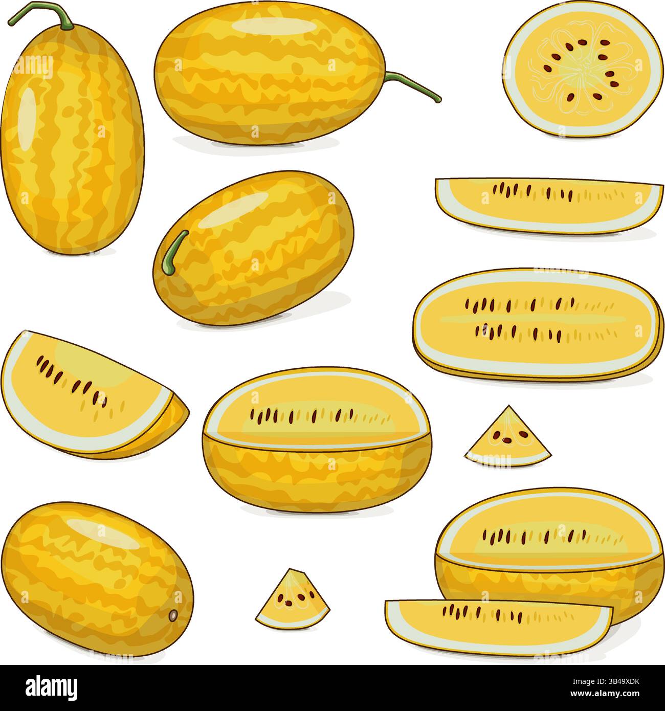 Set of Gold in Gold Watermelon. Citrullus lanatus. Fruits and ...