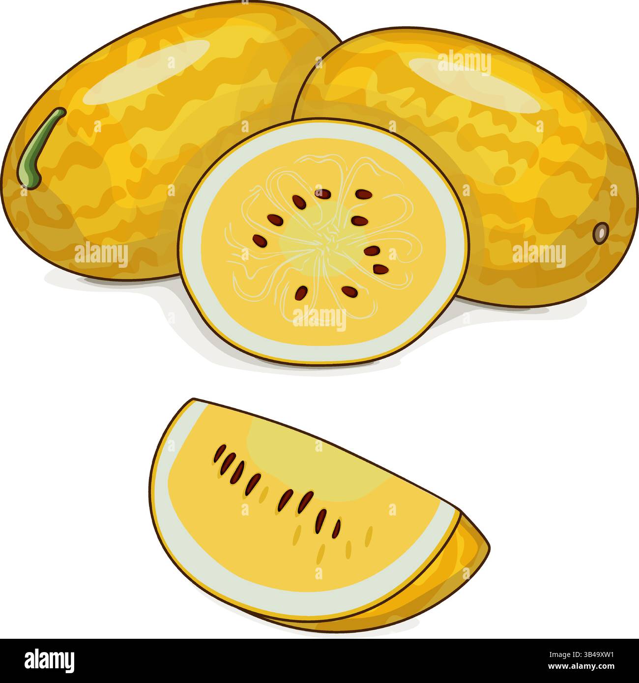 Whole and chopped Gold in Gold Watermelon. Citrullus lanatus. Fruits ...