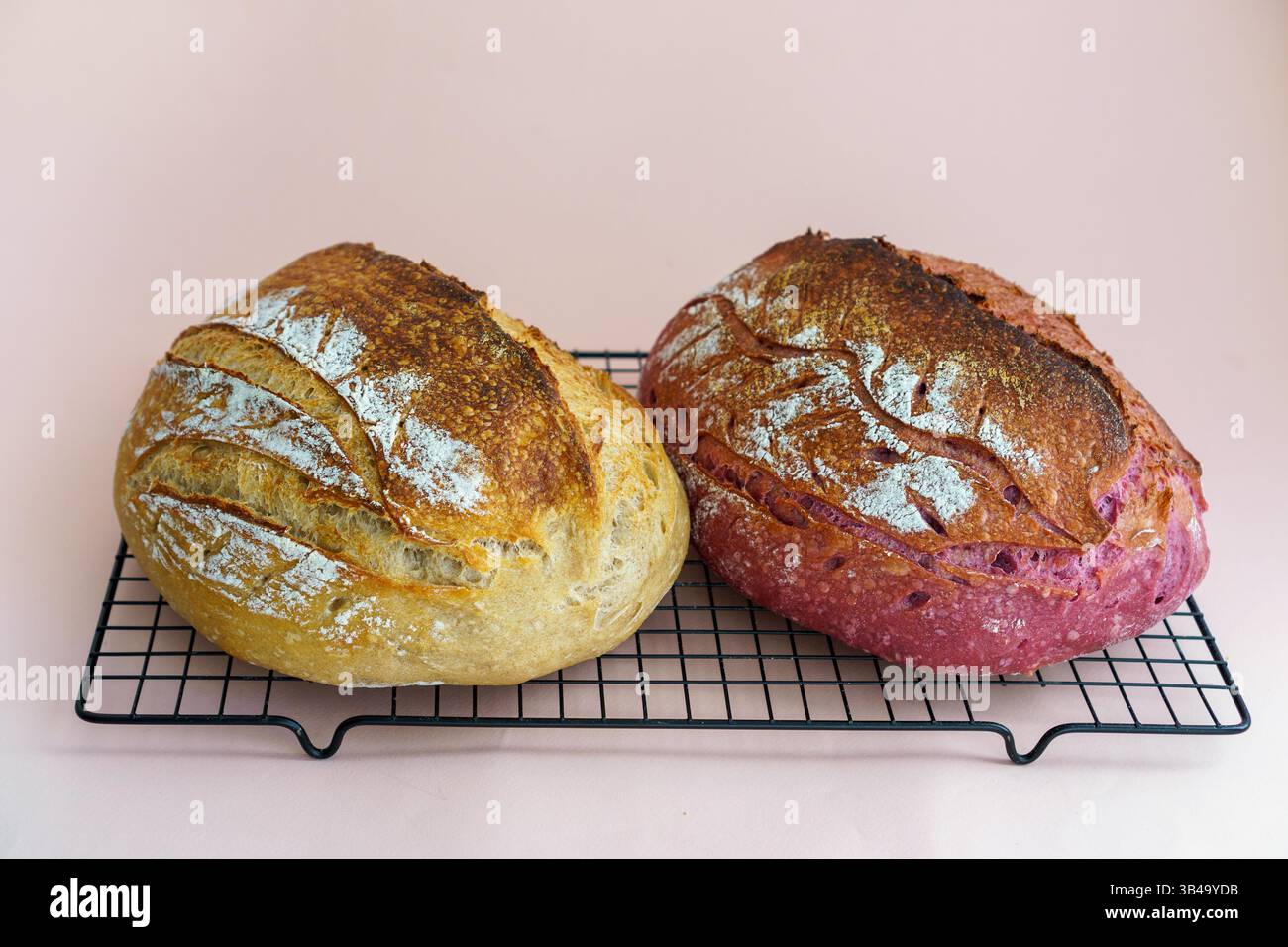 Potato fancy bread hi-res stock photography and images - Alamy