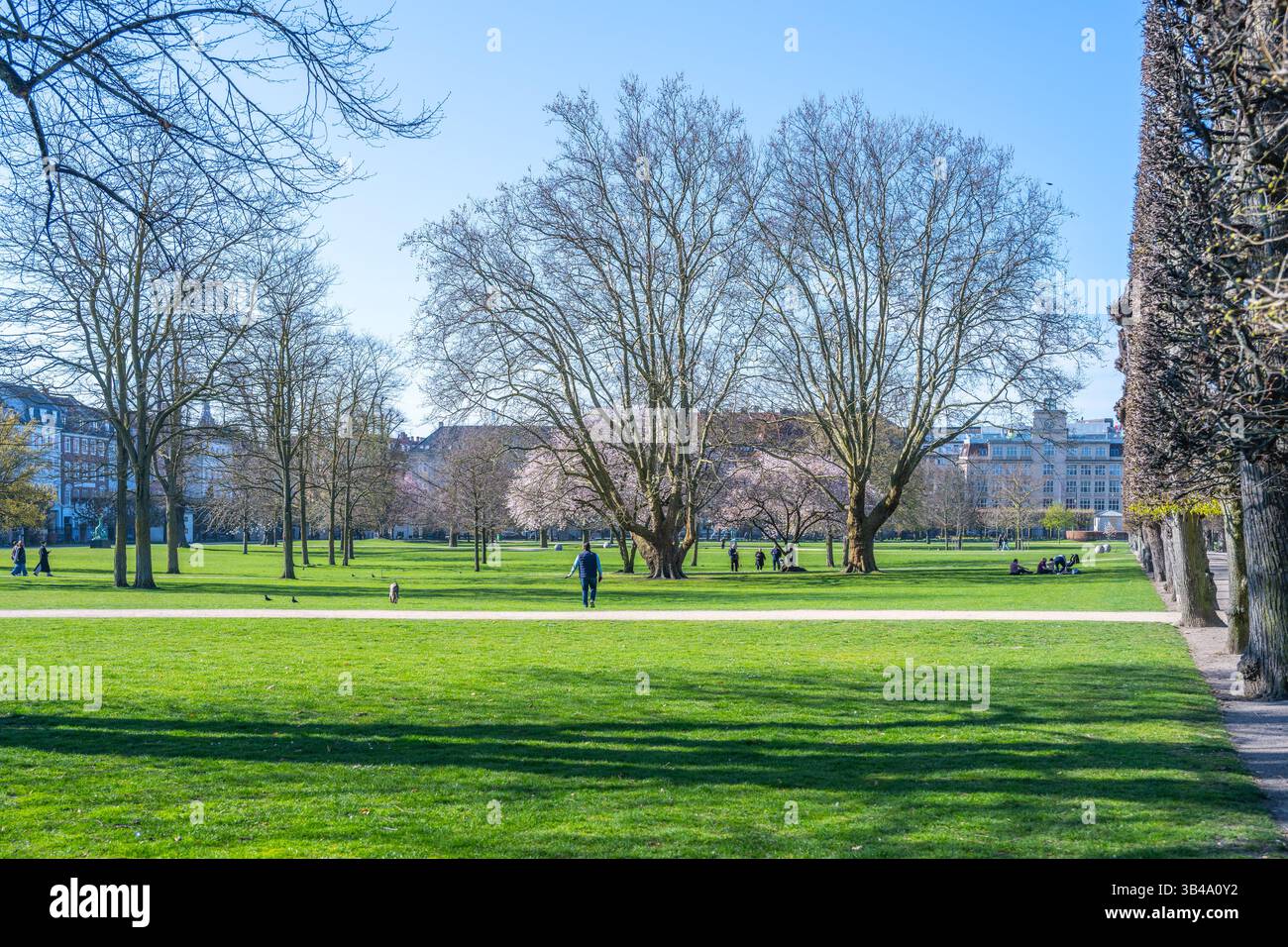 Enjoy perfect sunny day in hi-res stock photography and images - Alamy