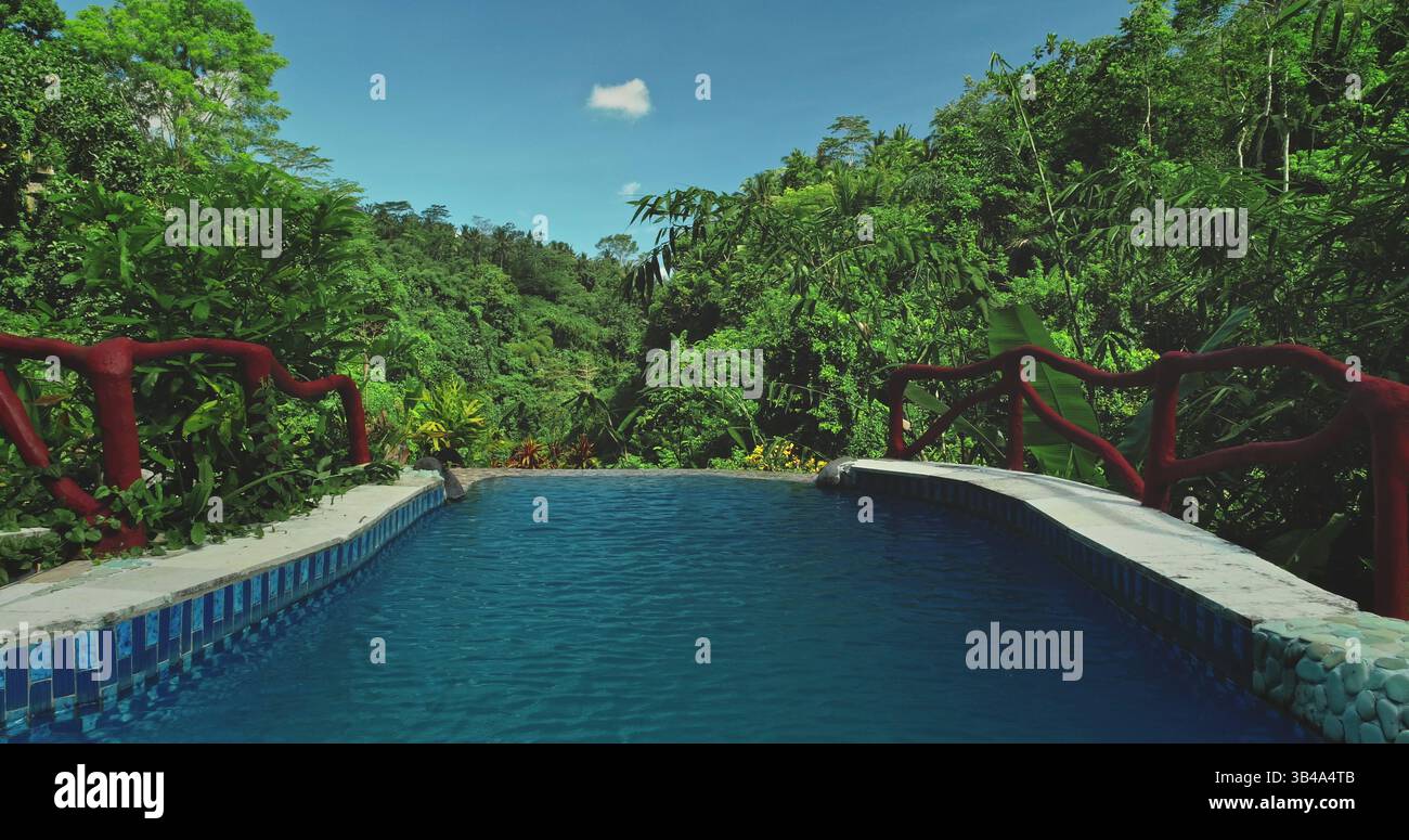 Luxury infinity swimming pool overlooks a vibrant tropical jungle ...