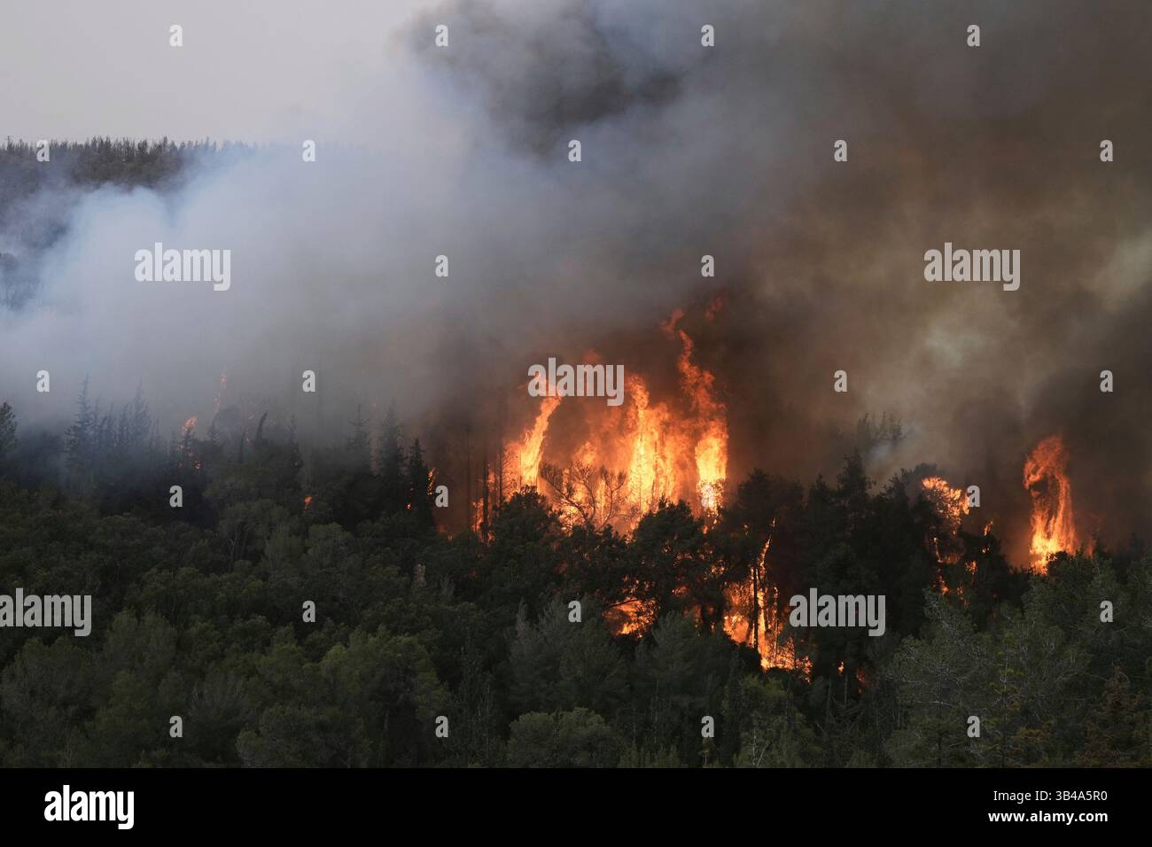 A forest fire burn near Jerusalem, Wednesday, April 30, 2025. (AP Photo ...