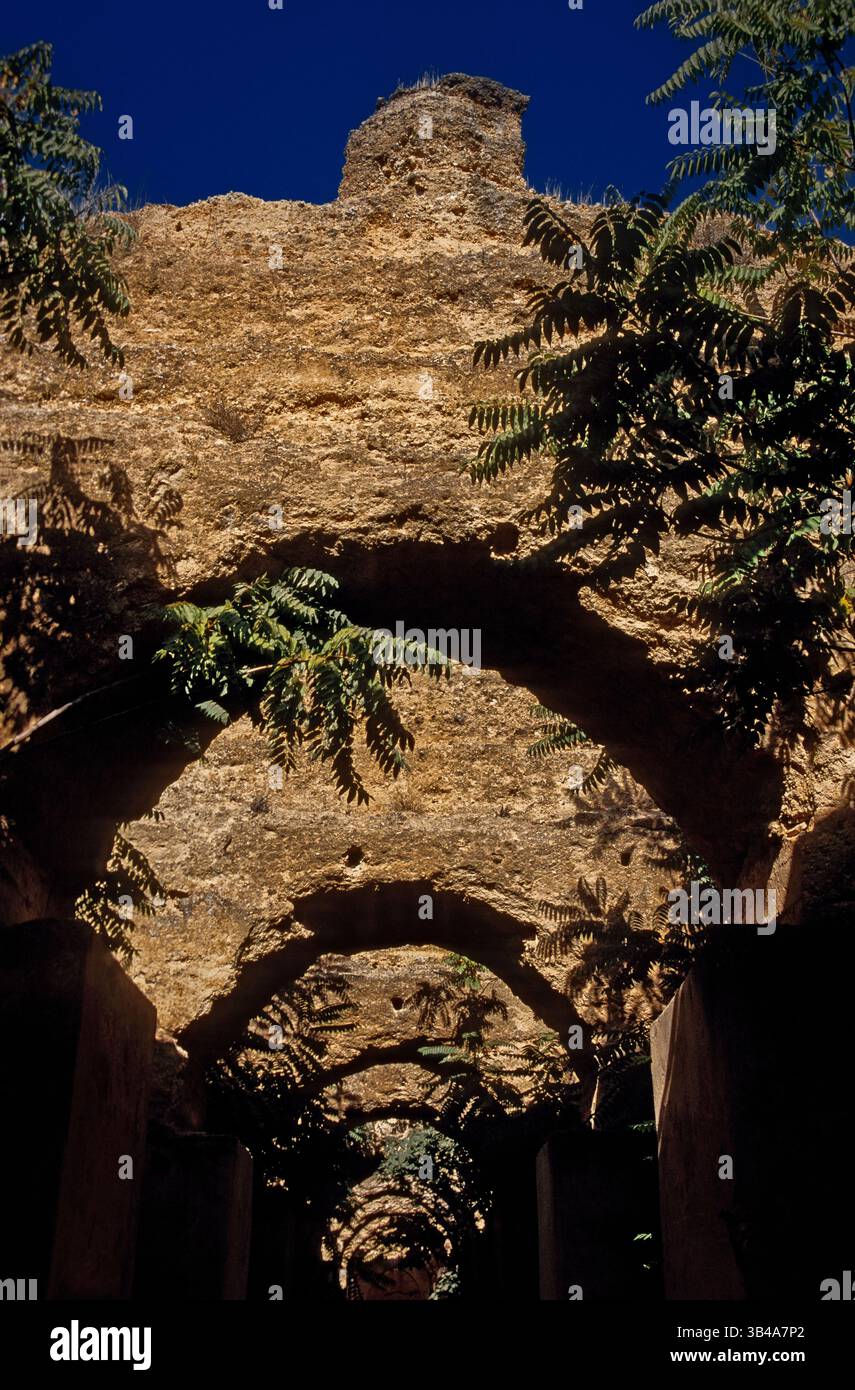 Golden stonework and green leaves: crumbling arches form shadowy tunnel ...