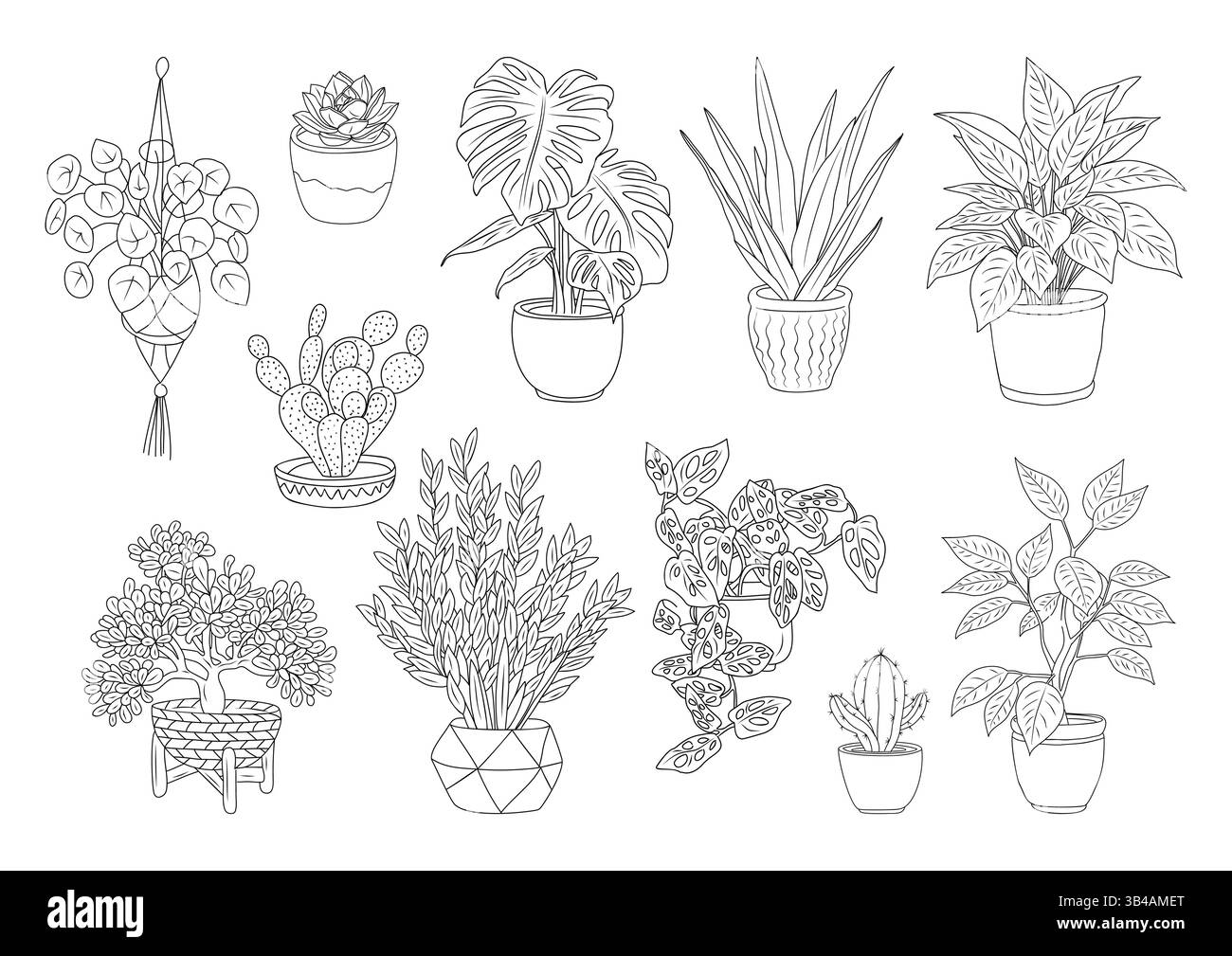 Set of House plants outline drawings vector Stock Vector Image & Art ...