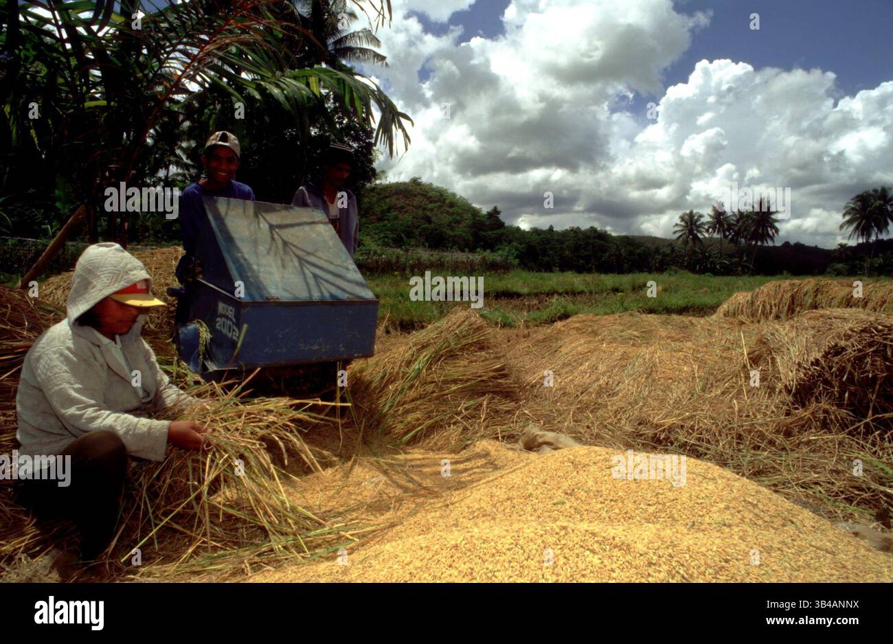 Philippines the origin of rice bohol there was a time hi-res stock ...