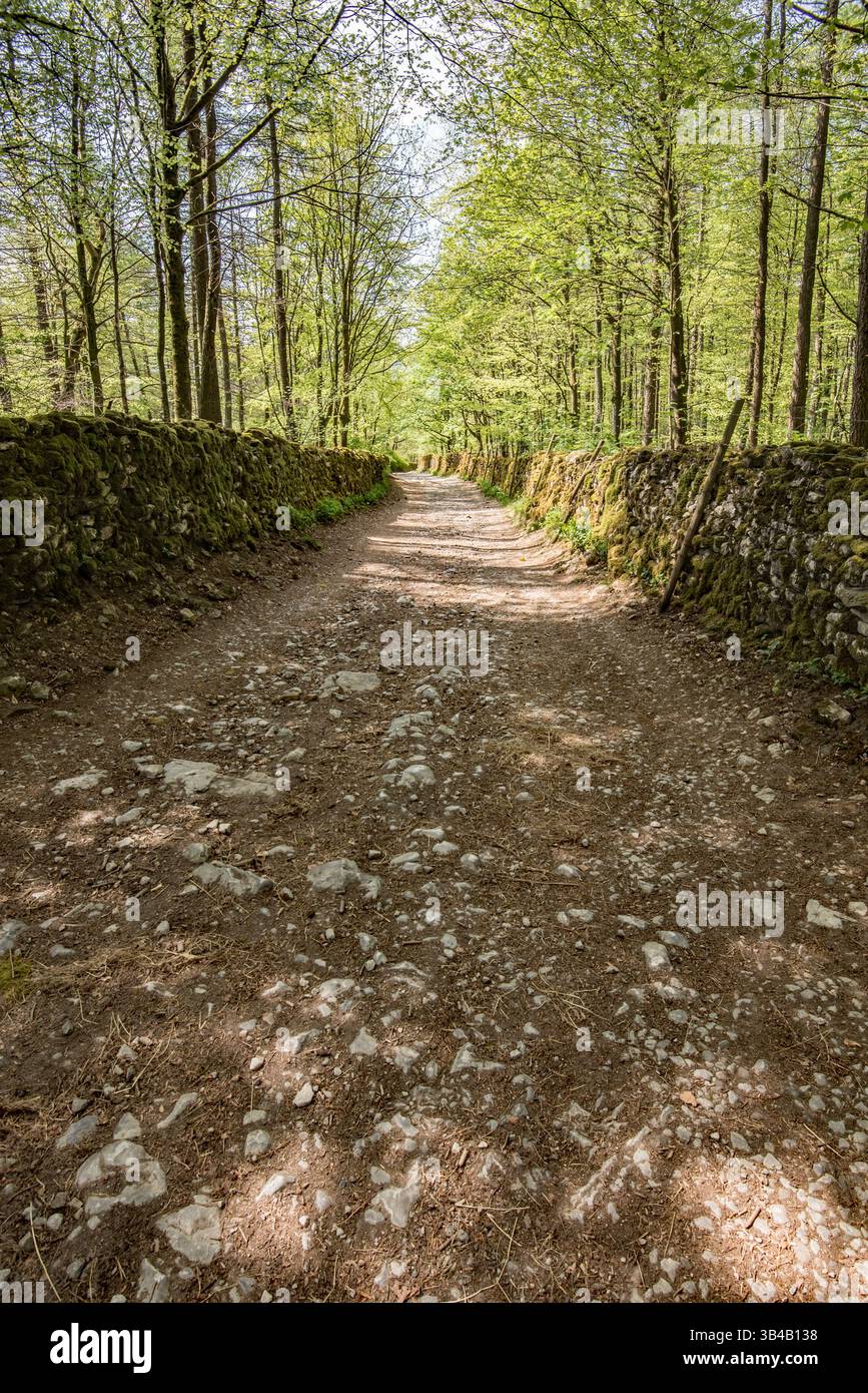 Crummack Lane links the pretty village of Austwick tp Clapahm village ...