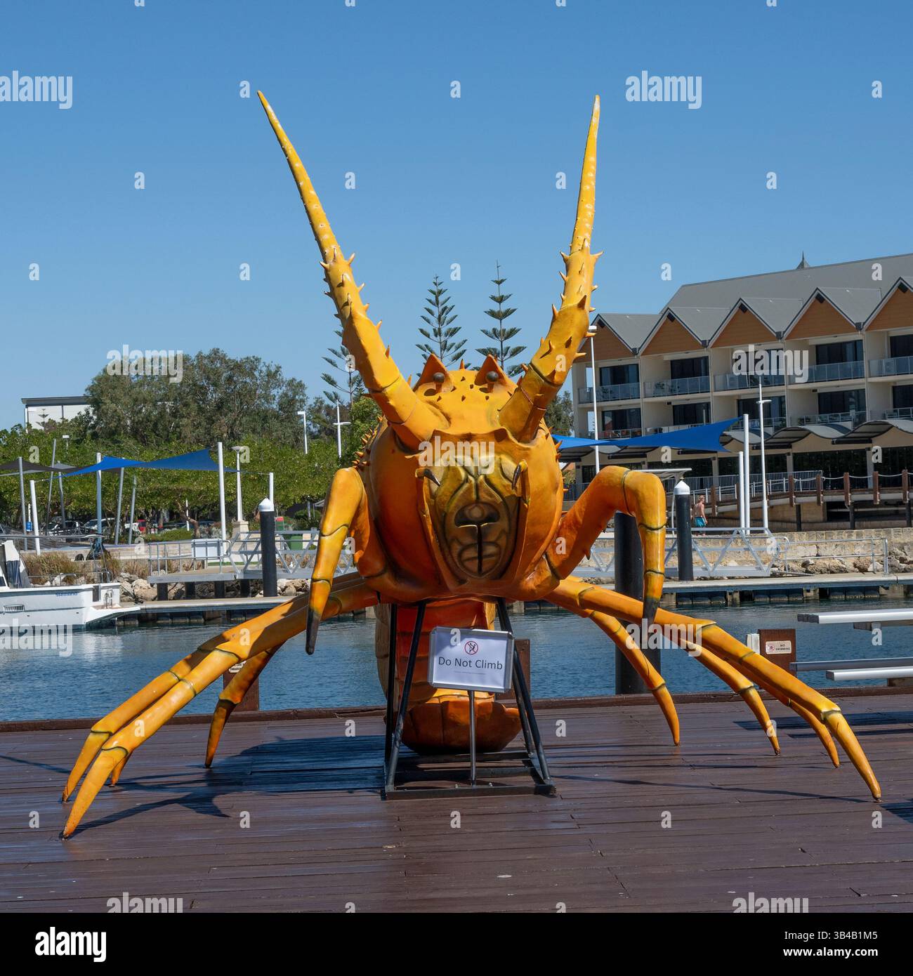 Mandurah crab hi-res stock photography and images - Alamy