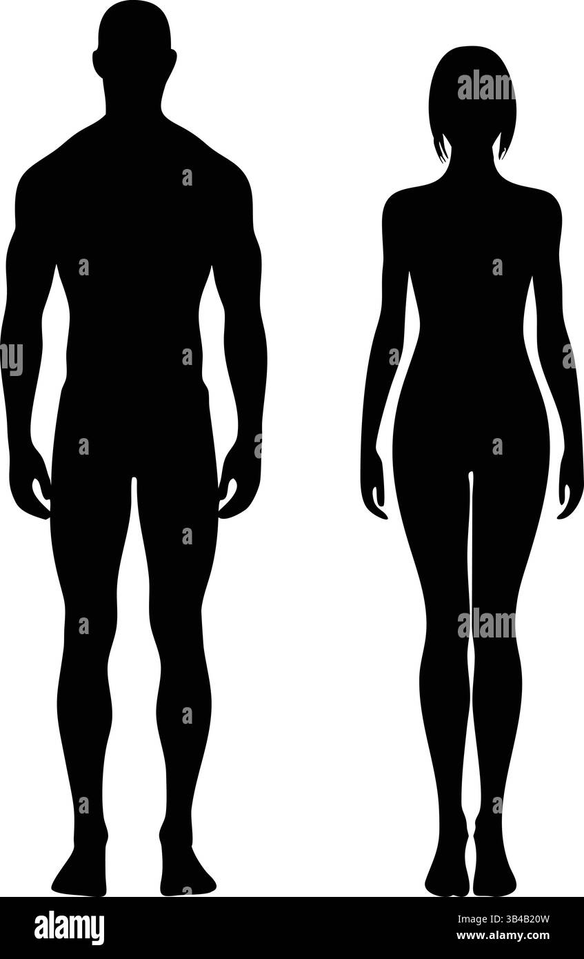 Human body illustration man woman Stock Vector Images - Alamy