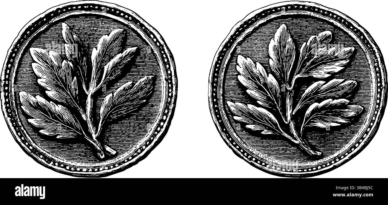 Roman coin and laurel engraving illustration set for historical design ...