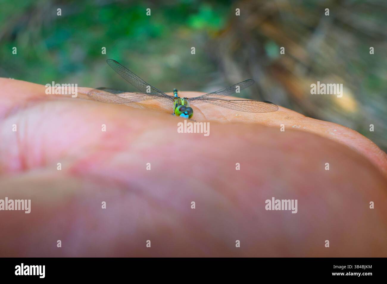 Hand print vector hi-res stock photography and images - Alamy