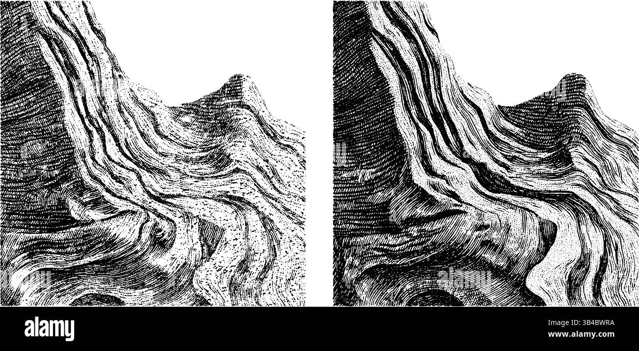 Intricate engraved patterns of cork surface and natural textures Stock ...