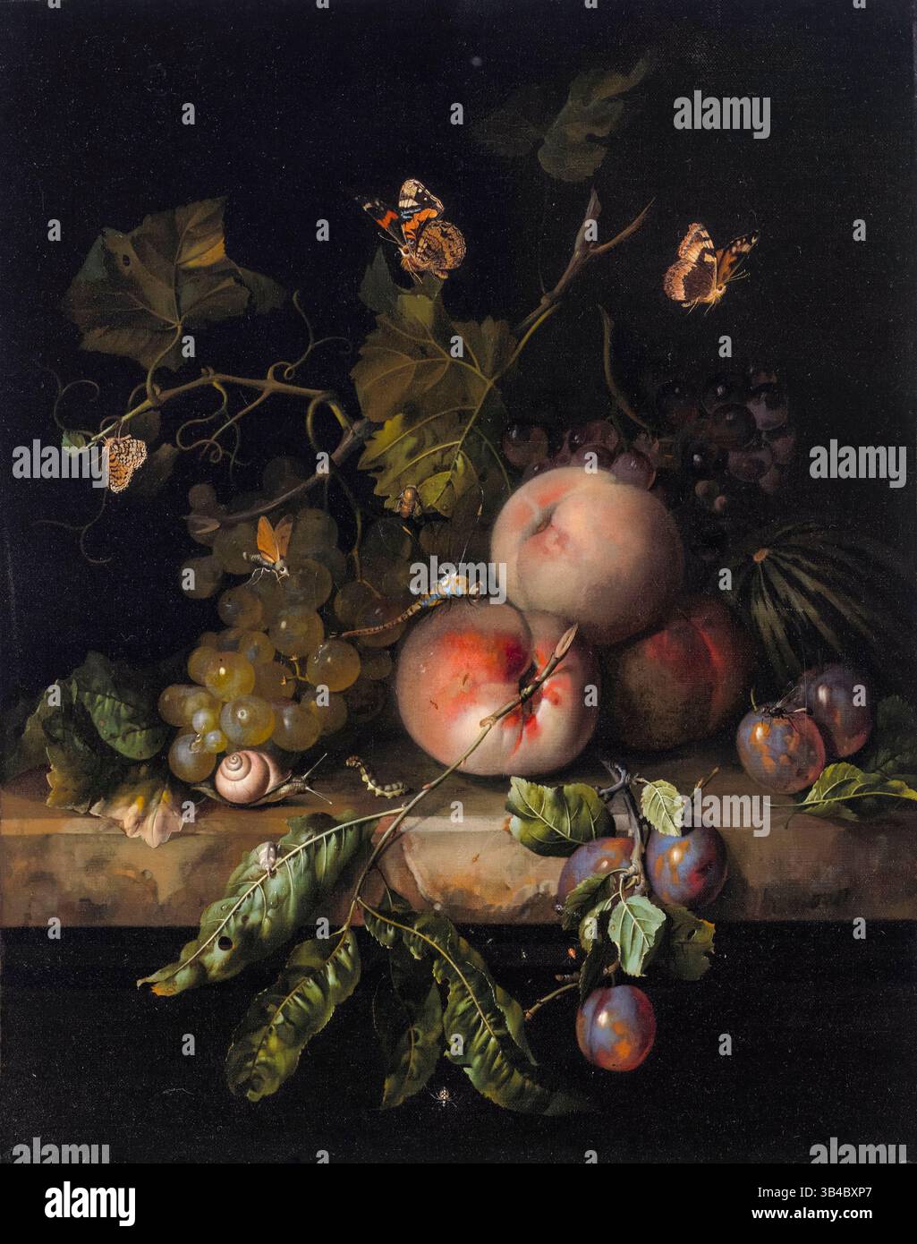 Rachel Ruysch, Peaches, grapes, and plums, with a dragonfly, snail ...