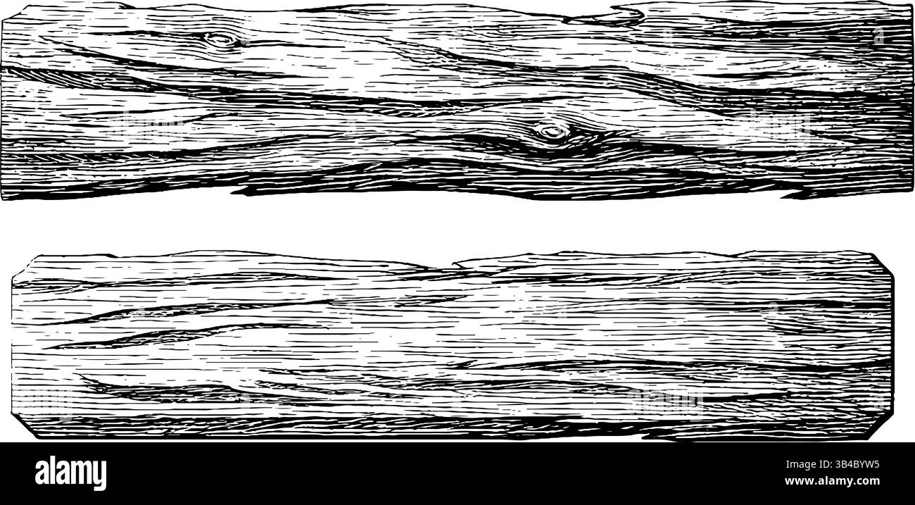 Detailed engraved wood grain illustration set for design and craft ...