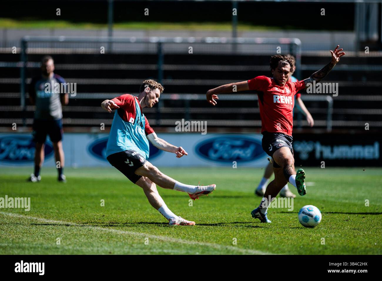 Zweikampf Florian Kainz (1. FC K?ln, 11), Julian Pauli (1. FC K?ln, 24) Training 1. FC K?ln ...
