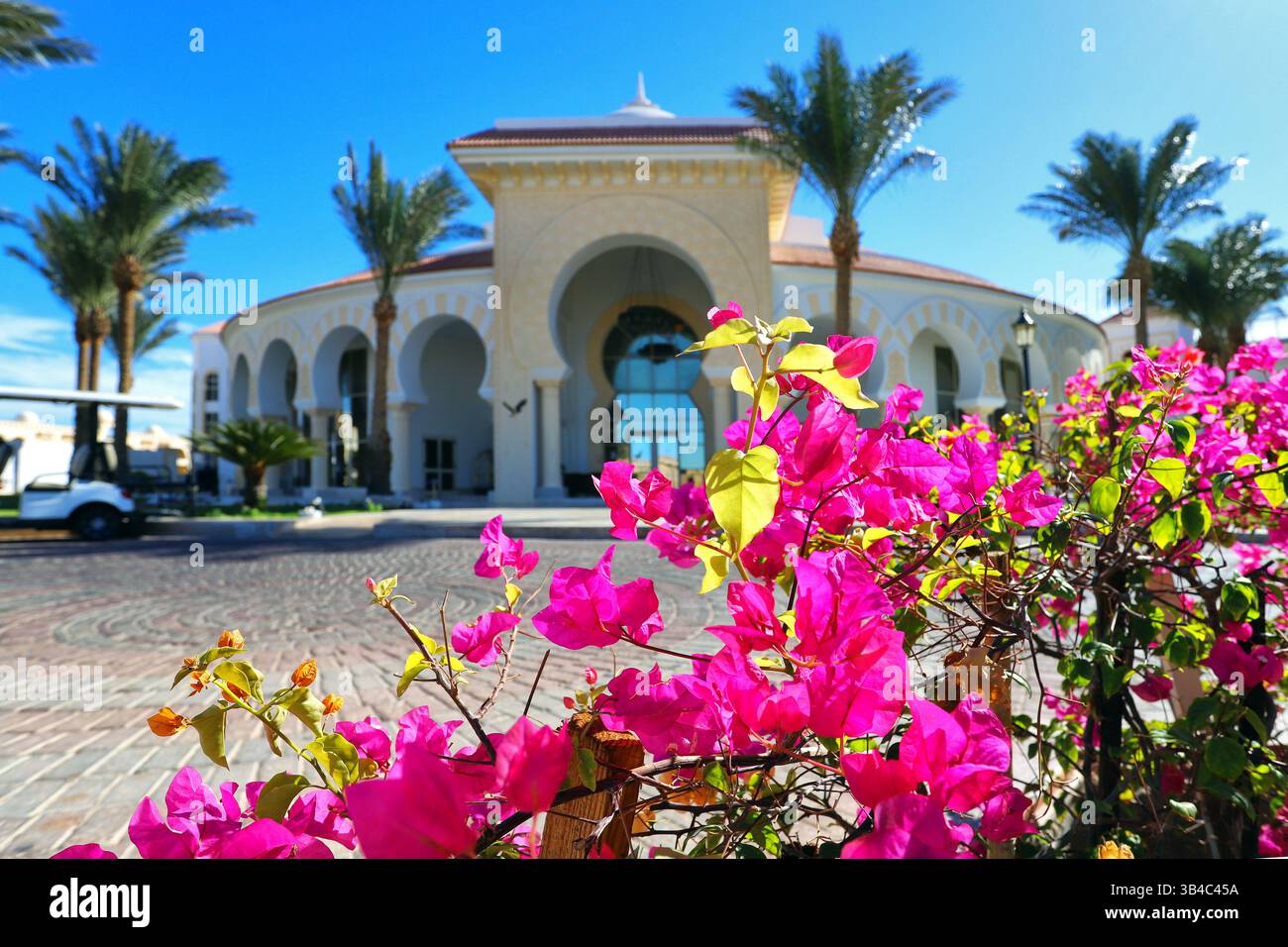 Lush landscaping egypt hi-res stock photography and images - Alamy