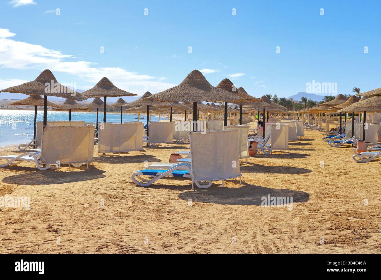 Row of straw parasols and empty loungers with privacy screens on a ...