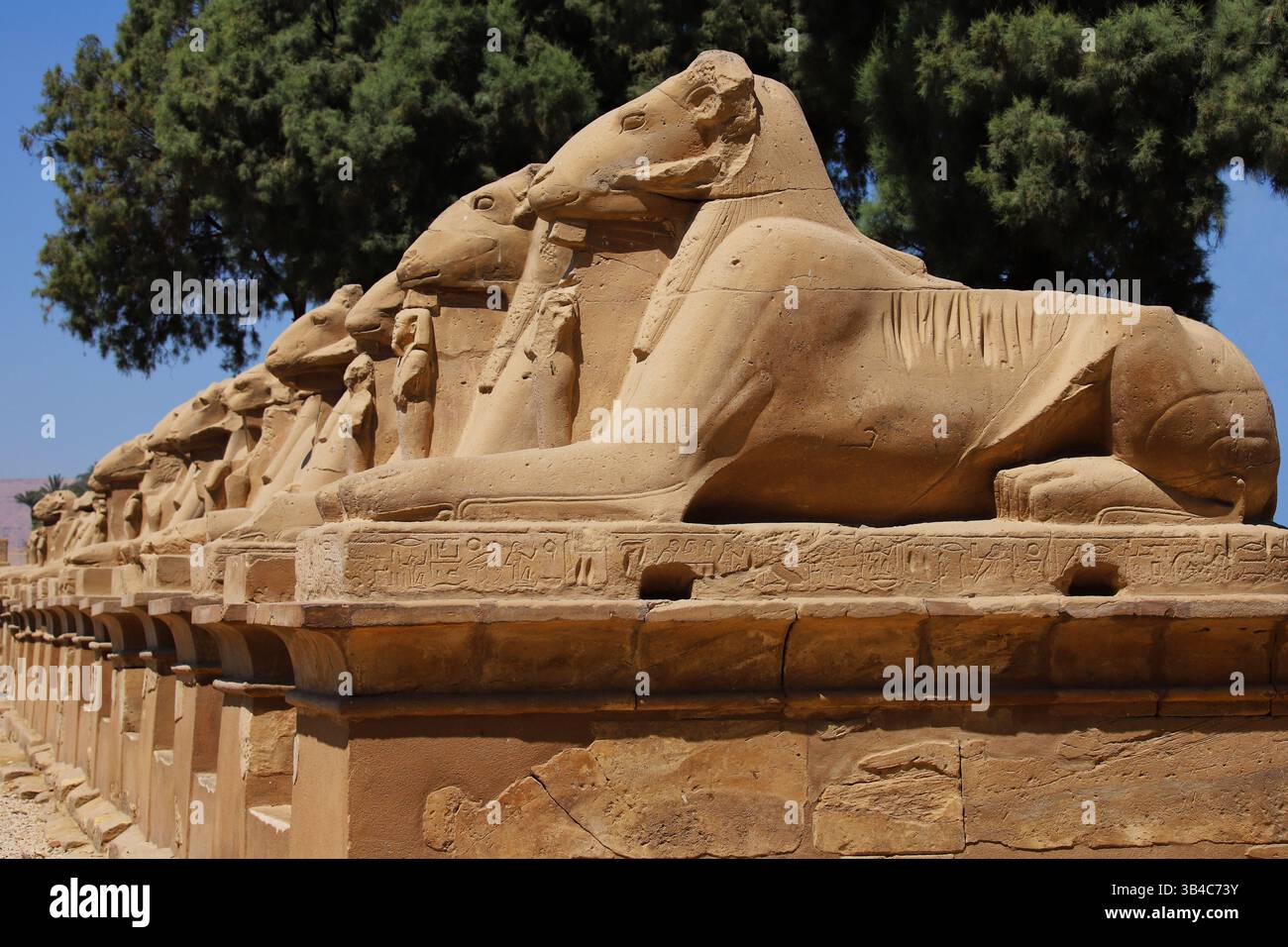 Row of Ram-Headed Sphinxes at Karnak Temple, Luxor, Egypt Stock Photo ...