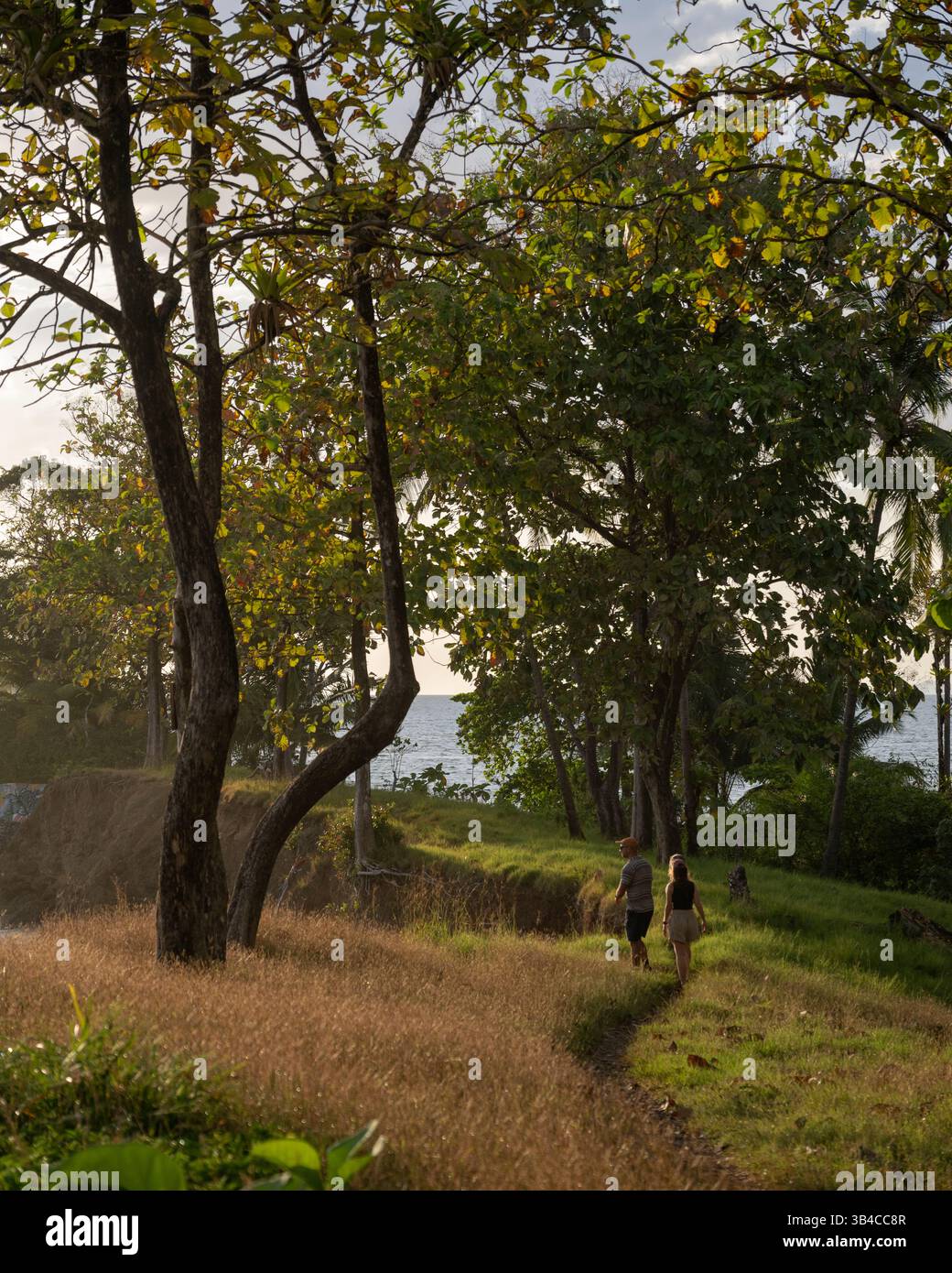 People walking along a pathway towards the ocean shoreline, Panama ...
