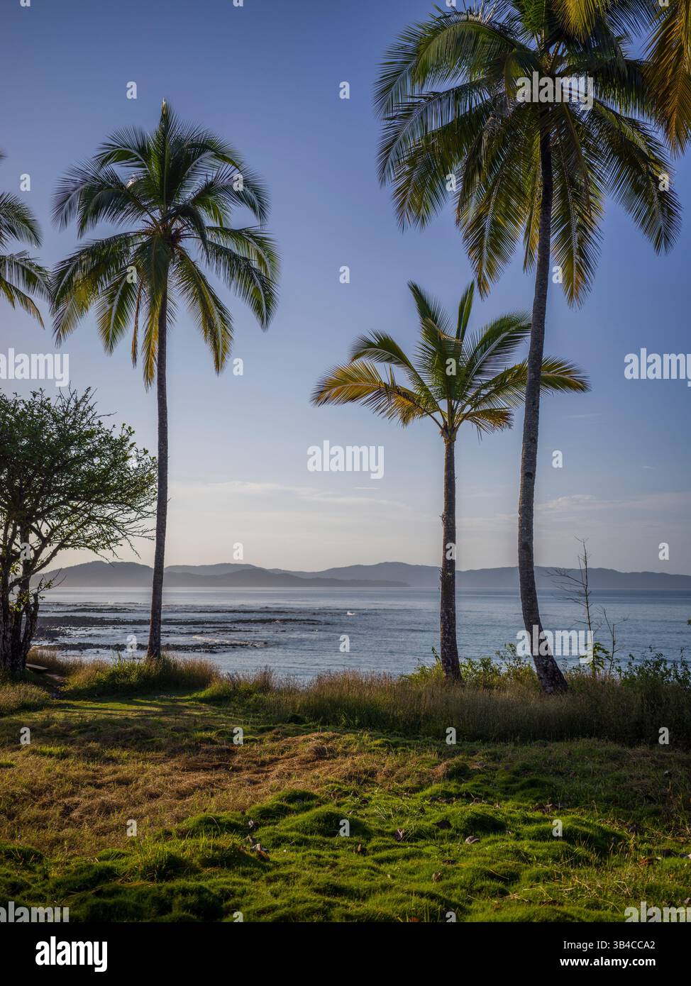 Scenic coastal waterfront view of the shoreline, Panama Stock Photo - Alamy